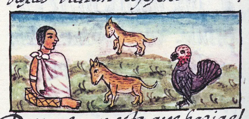 Montezuma’s Zoo – Mexico Unexplained