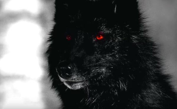 Cadejos: Gigantic Dogs of Good & Evil – Mexico Unexplained