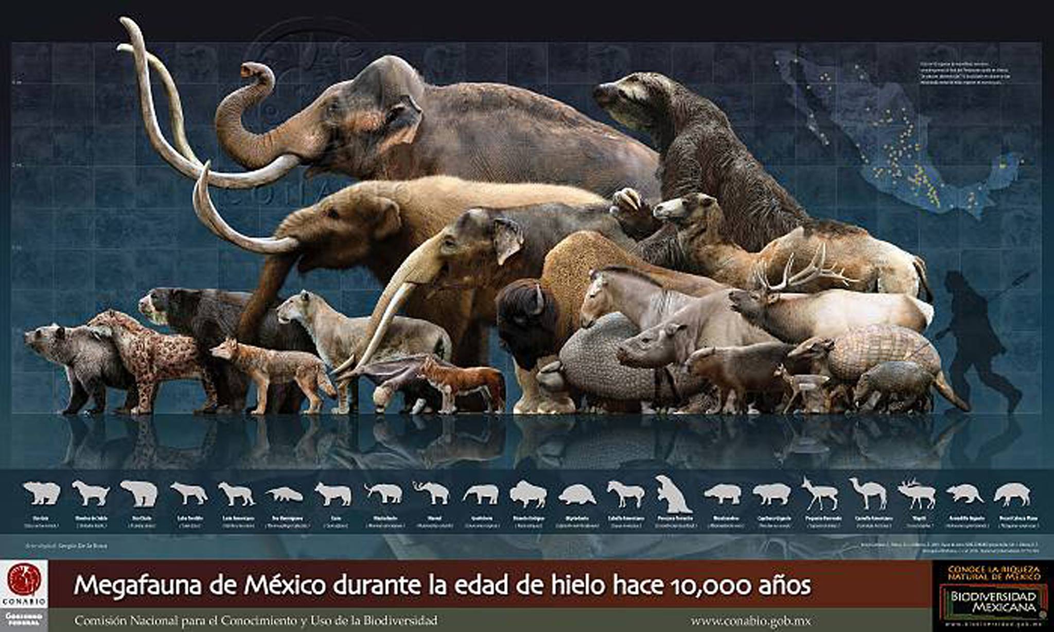 The Señora de las Palmas & the Yucatán Cave People – Mexico Unexplained