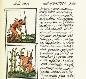 Chinampas, Floating Gardens of Ancient Mexico – Mexico Unexplained