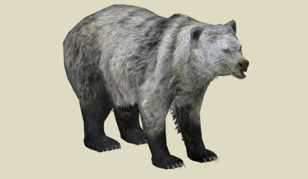 Cryptids and Legendary Creatures – Mexico Unexplained